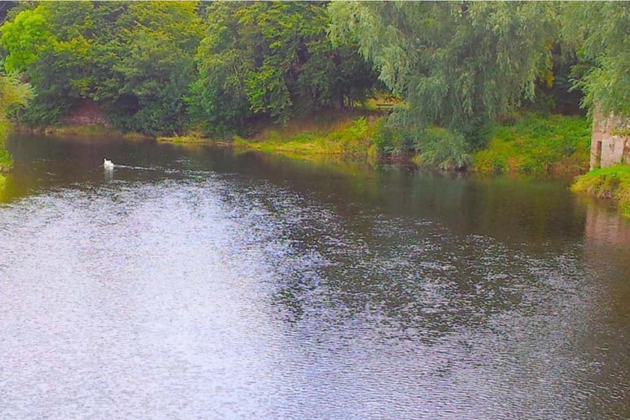 River Teviot - Salmon Sea Trout Fishing 2 Rods | Powered by Givergy