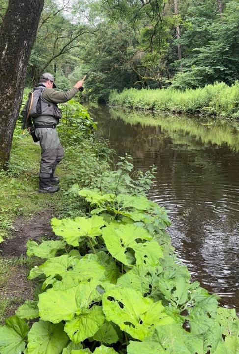 River Wye: One day for one rod on the Upper Wye, Derbyshire | Powered ...
