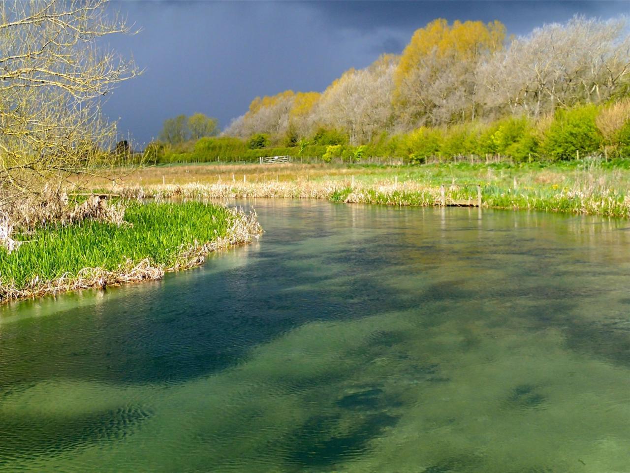 Driffield Anglers Club: one day for one rod | Powered by Givergy