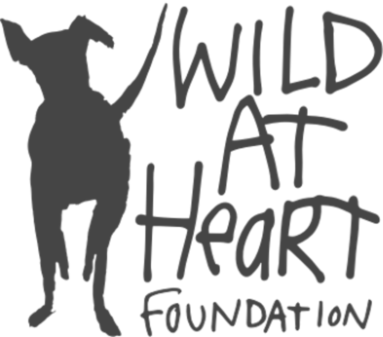 Festive Raffle | Powered by Givergy