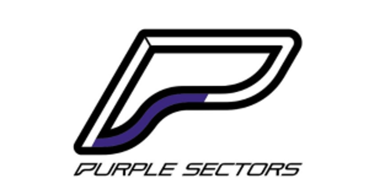 Young Epilepsy Purple Sectors | Powered by Givergy