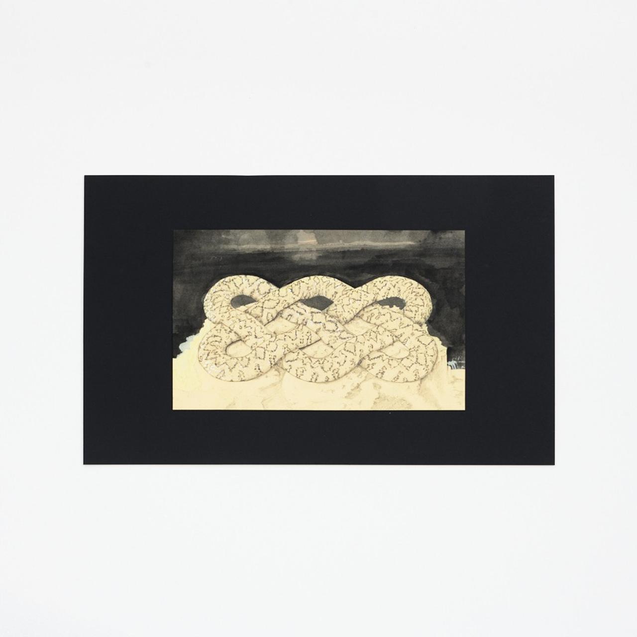 **Charlie Fegan** | Powered by Givergy