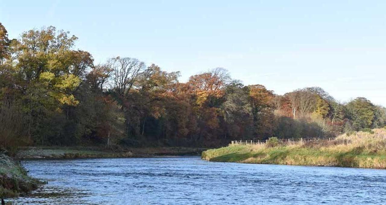 Spring salmon fishing on the Newbie beat River Annan | Powered by Givergy