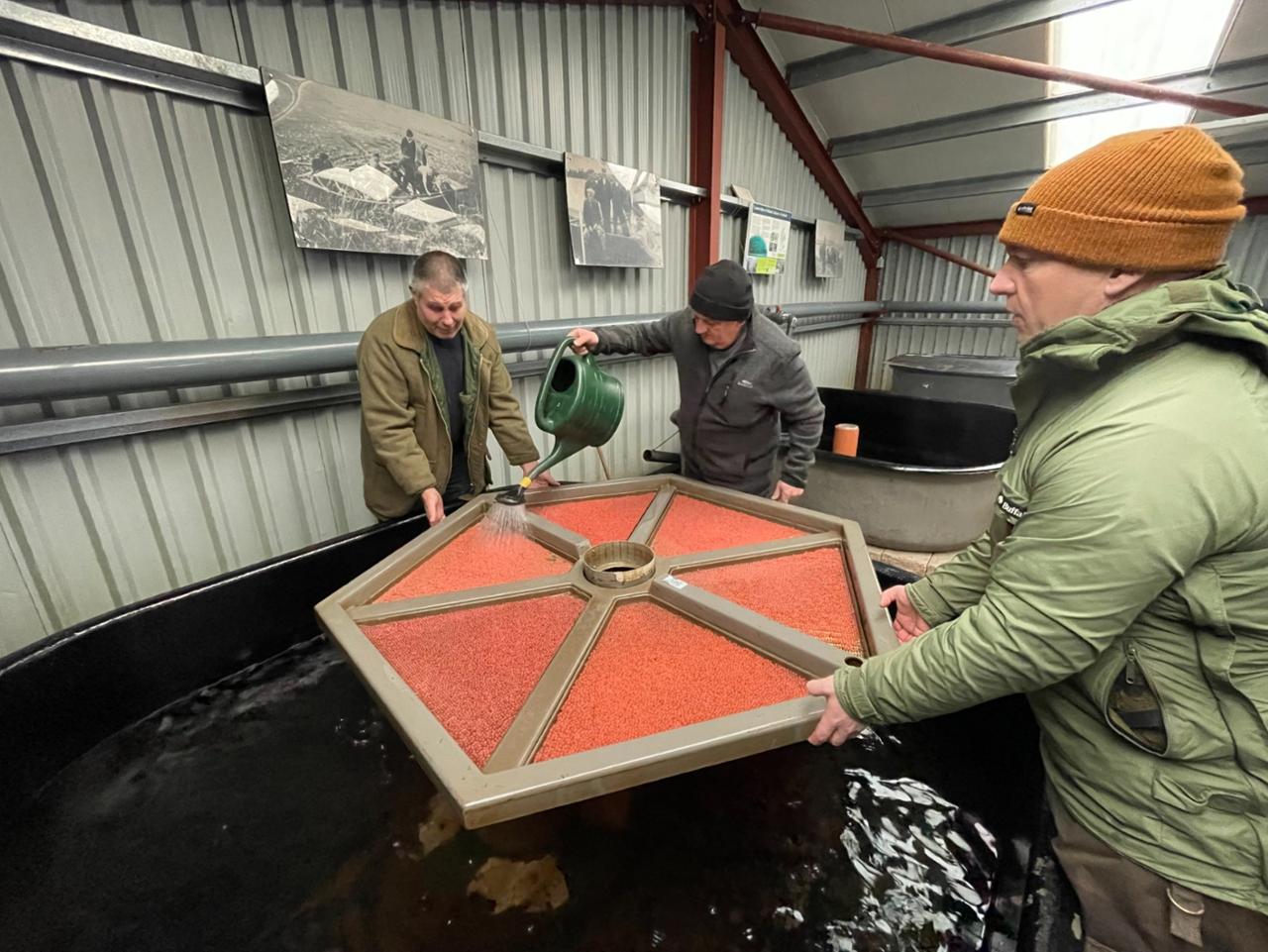 Exclusive Behind-the-Scenes Hatchery Tour | Powered by Givergy